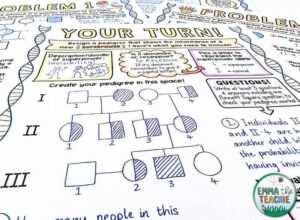 How to Teach Pedigree Charts - Lesson Activities - Emmatheteachie Blog