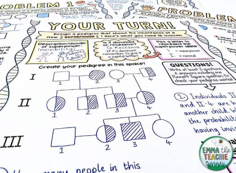 How to Teach Pedigree Charts - Lesson Activities - Emmatheteachie Blog
