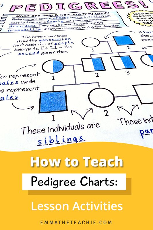 How to Teach Pedigree Charts - Lesson Activities - Emmatheteachie Blog