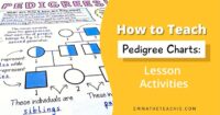 How to Teach Pedigree Charts - Lesson Activities - Emmatheteachie Blog