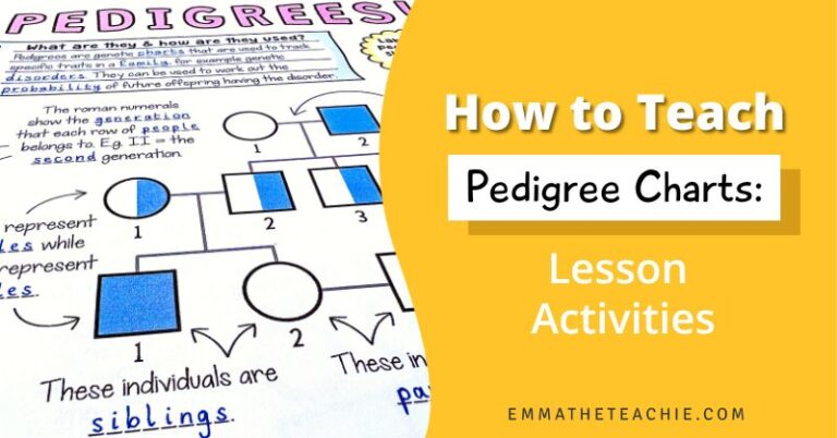How to Teach Pedigree Charts - Lesson Activities - Emmatheteachie Blog