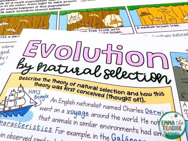 4 Top Tips for Teaching Evolution in High School Biology - Emmatheteachie