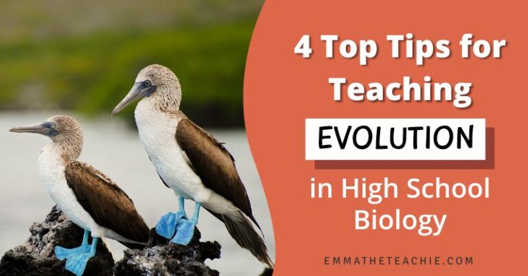 4 Top Tips for Teaching Evolution in High School Biology - Emmatheteachie