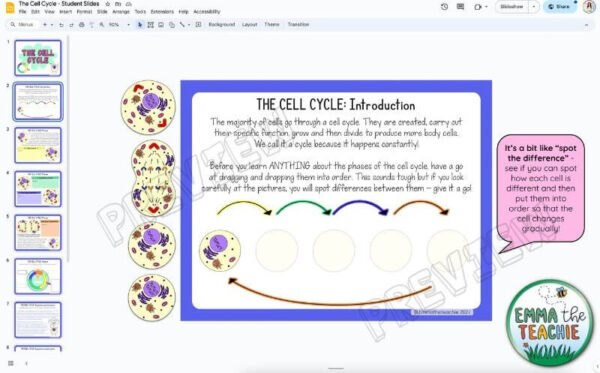 I’ve Planned Your Cell Cycle Lesson For You! [Free Resources ...
