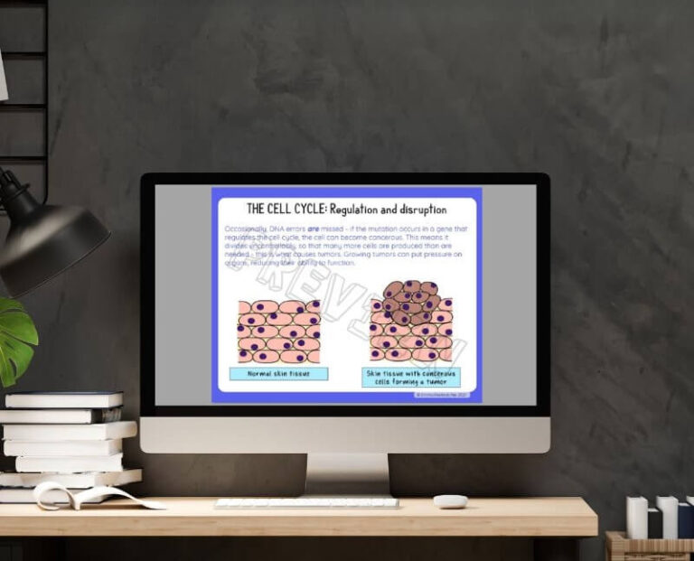 I’ve Planned Your Cell Cycle Lesson For You! [Free Resources ...