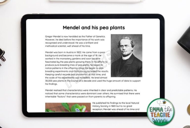 4 Ideas for Your Punnett Squares Lesson Activities - Emmatheteachie Blog