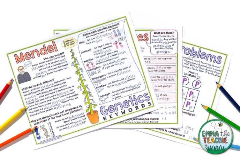 4 Ideas for Your Punnett Squares Lesson Activities - Emmatheteachie Blog
