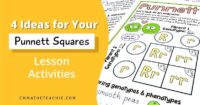 4 Ideas for Your Punnett Squares Lesson Activities - Emmatheteachie Blog