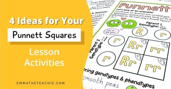 4 Ideas for Your Punnett Squares Lesson Activities - Emmatheteachie Blog