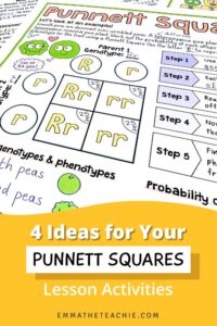 4 Ideas for Your Punnett Squares Lesson Activities - Emmatheteachie Blog