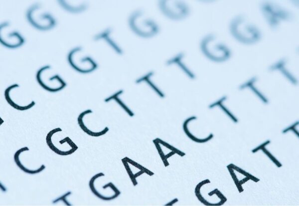 Fun and Effective Mutations Activities for High School Biology ...