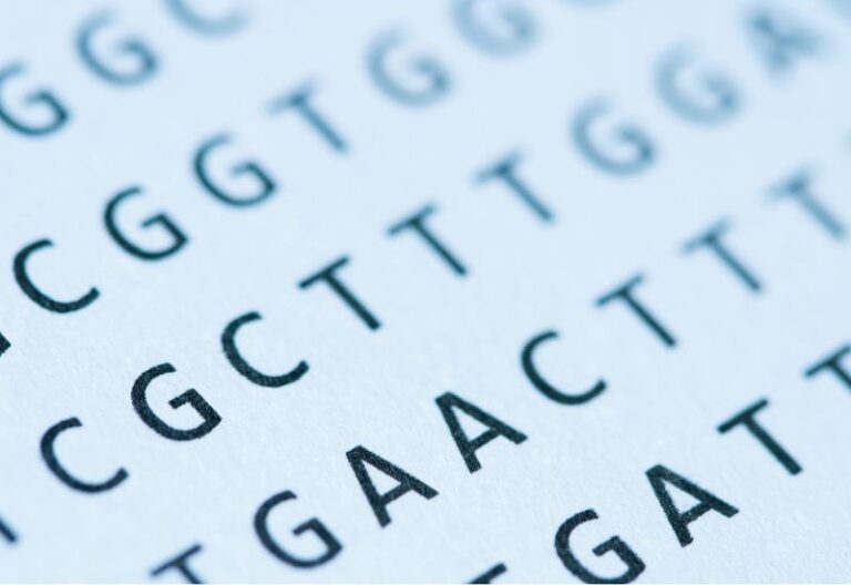 Fun and Effective Mutations Activities for High School Biology ...