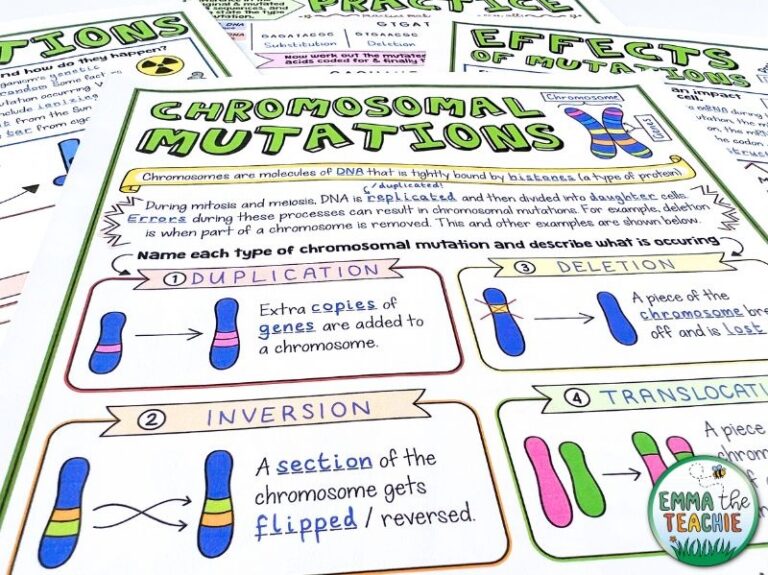 Fun and Effective Mutations Activities for High School Biology ...