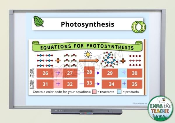 Easy Biology Sub Plans - Secondary Science - Emmatheteachie Blog