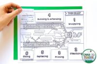 The Best DNA Replication Activity for High School Biology - Emmatheteachie