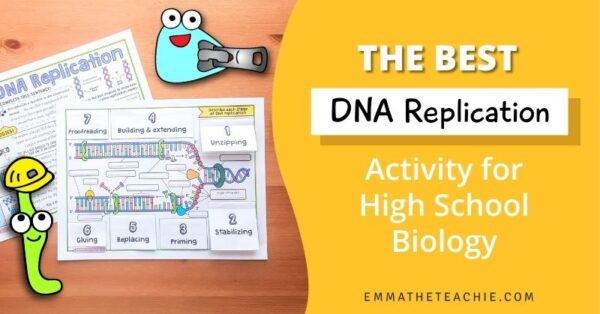 The Best DNA Replication Activity for High School Biology - Emmatheteachie