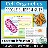 Cell Organelles Google Slides - Emmatheteachie Resources