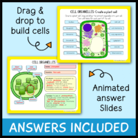 Cell Organelles Google Slides - Emmatheteachie Resources