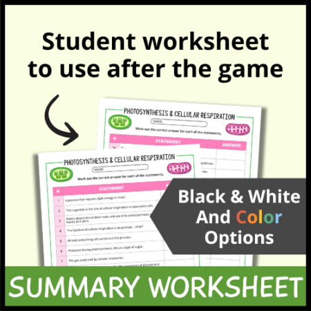 Photosynthesis and Cellular Respiration SPLAT Review - Emmatheteachie