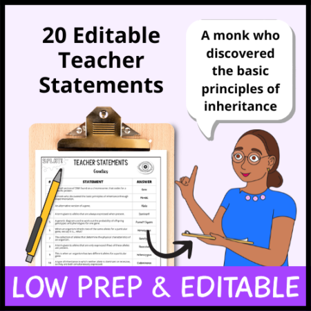 Genetics SPLAT Review - Emmatheteachie