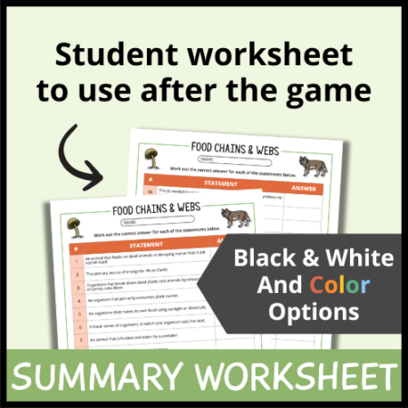 Food Chains and Food Webs SPLAT Review - Emmatheteachie